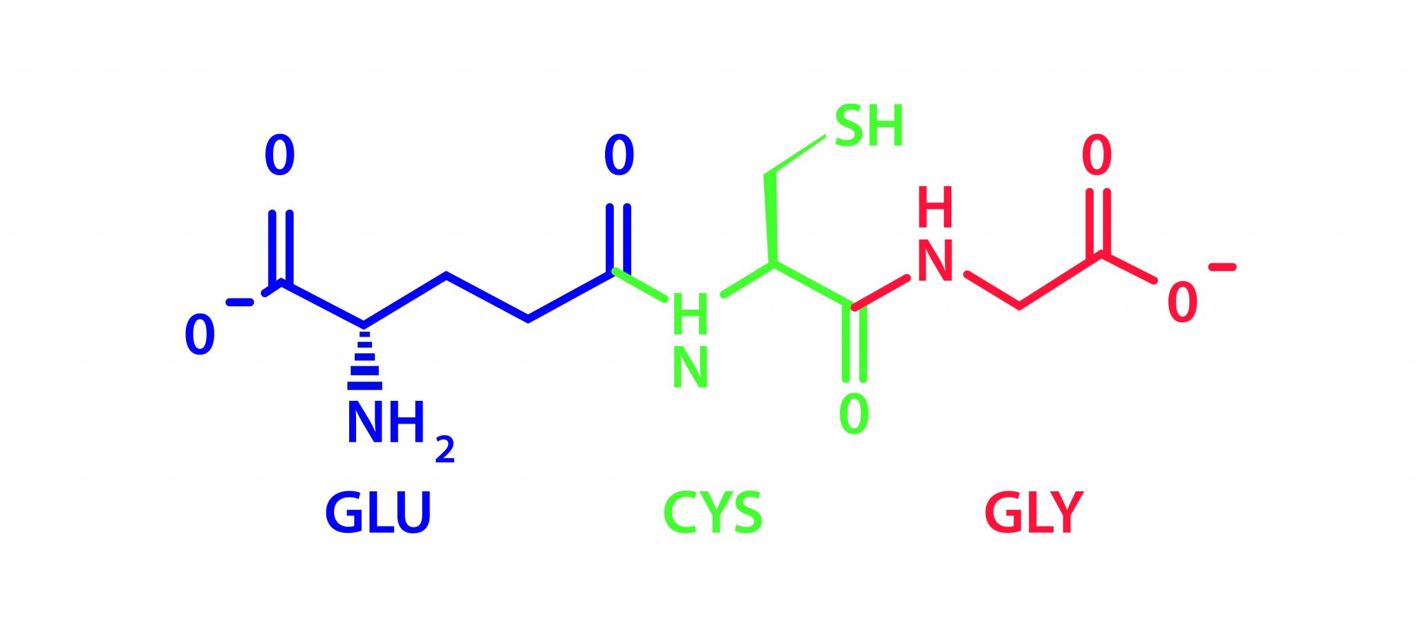 Saiba tudo sobre o antioxidante mais poderoso do organismo