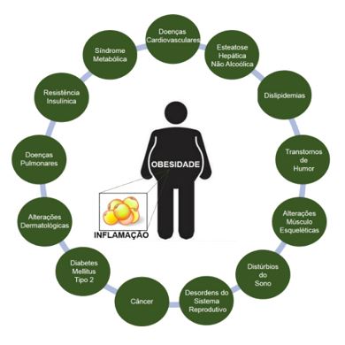 Sobrepeso e Obesidade: Um Panorama Geral
